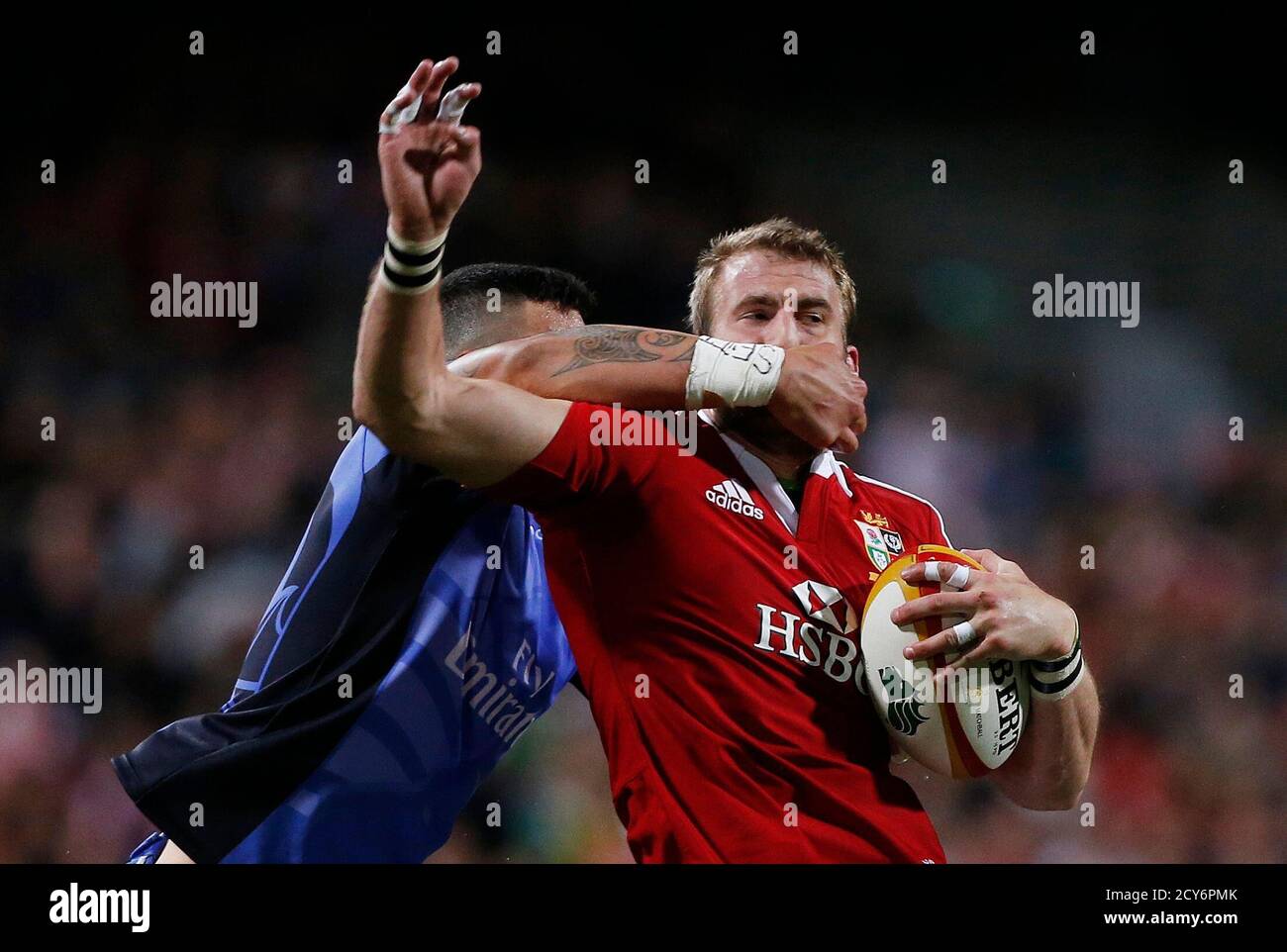 Tom croft lions hi-res stock photography and images - Alamy