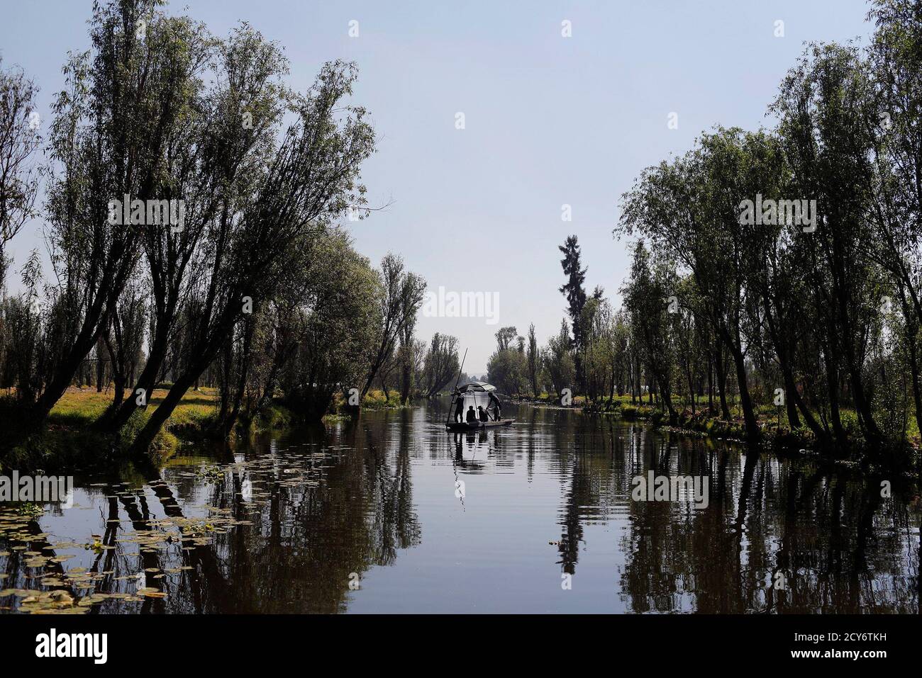 Axolotl xochimilco hi-res stock photography and images - Alamy