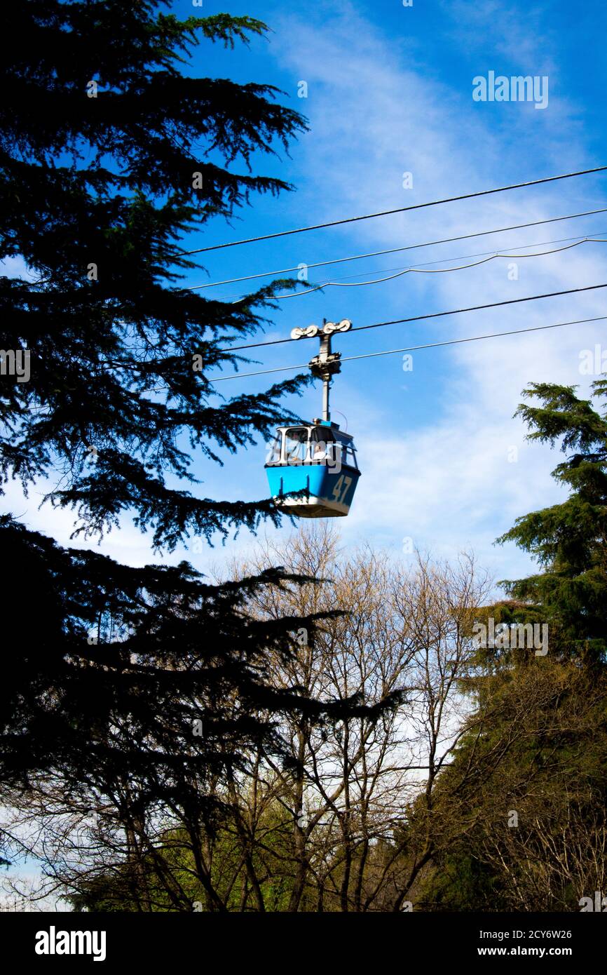 Cable car movement in forest hi-res stock photography and images - Alamy