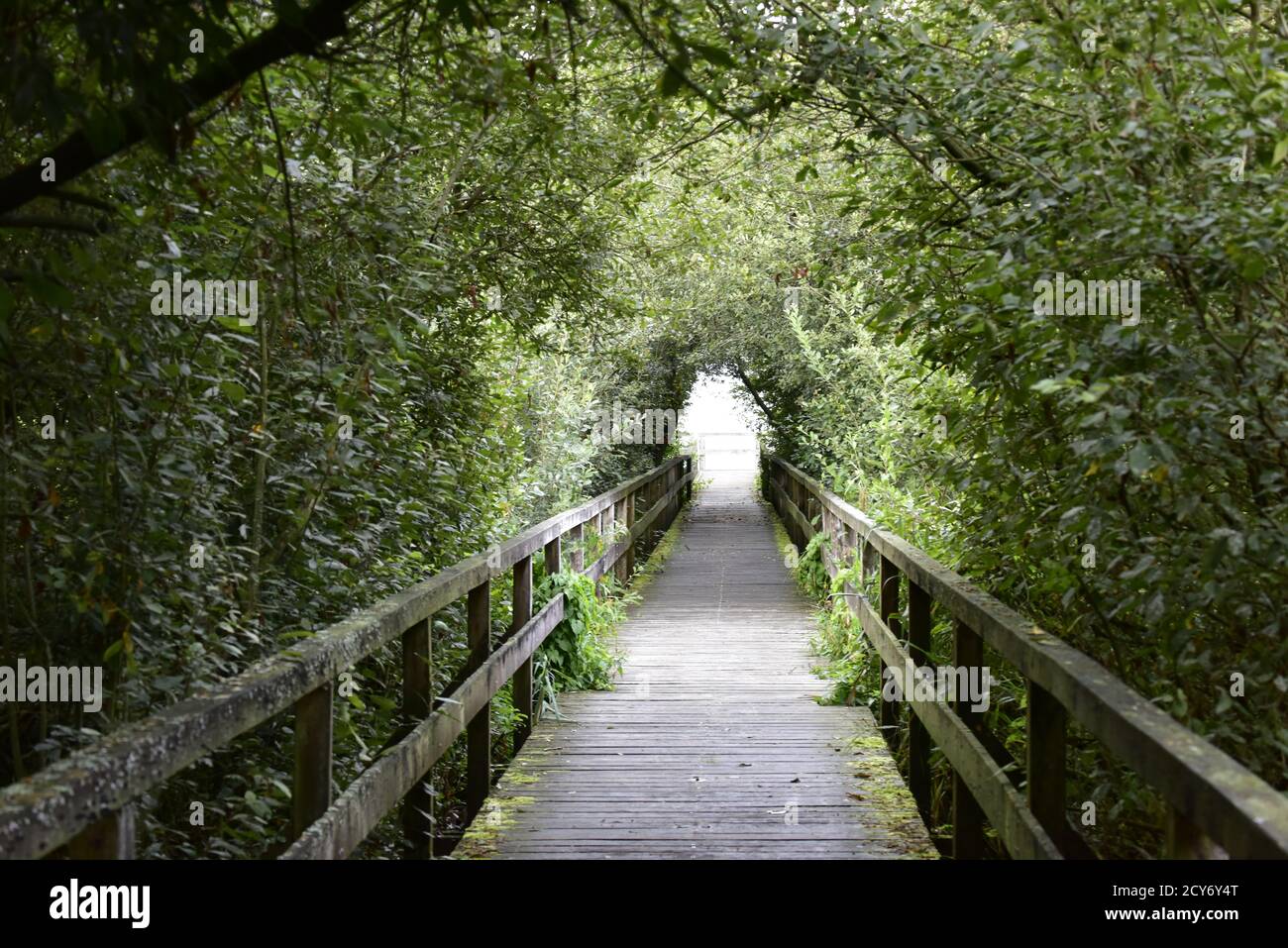 Bridge and Tunnel style,Steinhuder Meer,Low Saxony,Germany Stock Photo ...