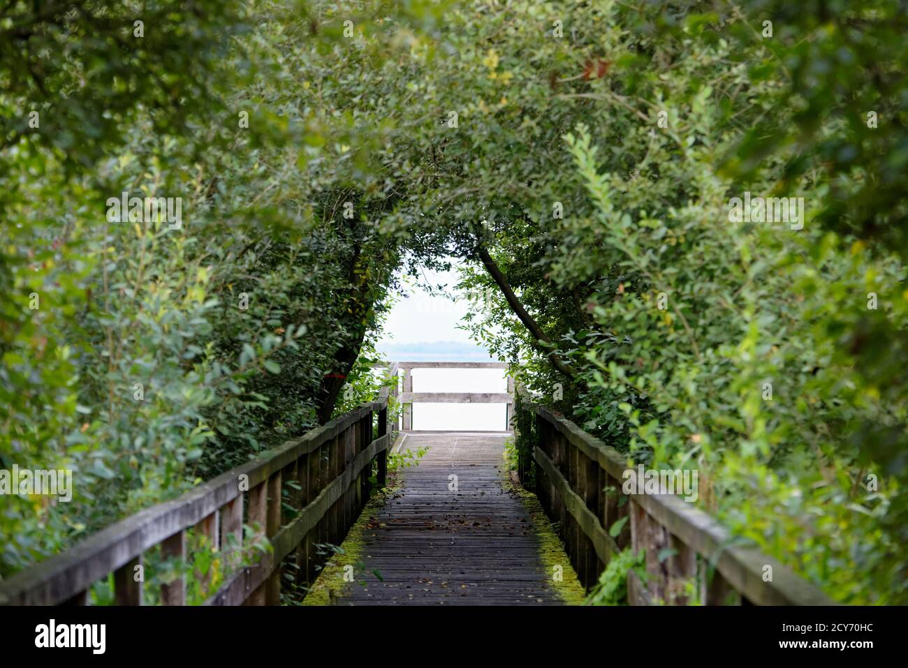 Bridge and Tunnel style,Steinhuder Meer,Low Saxony,Germany Stock Photo ...