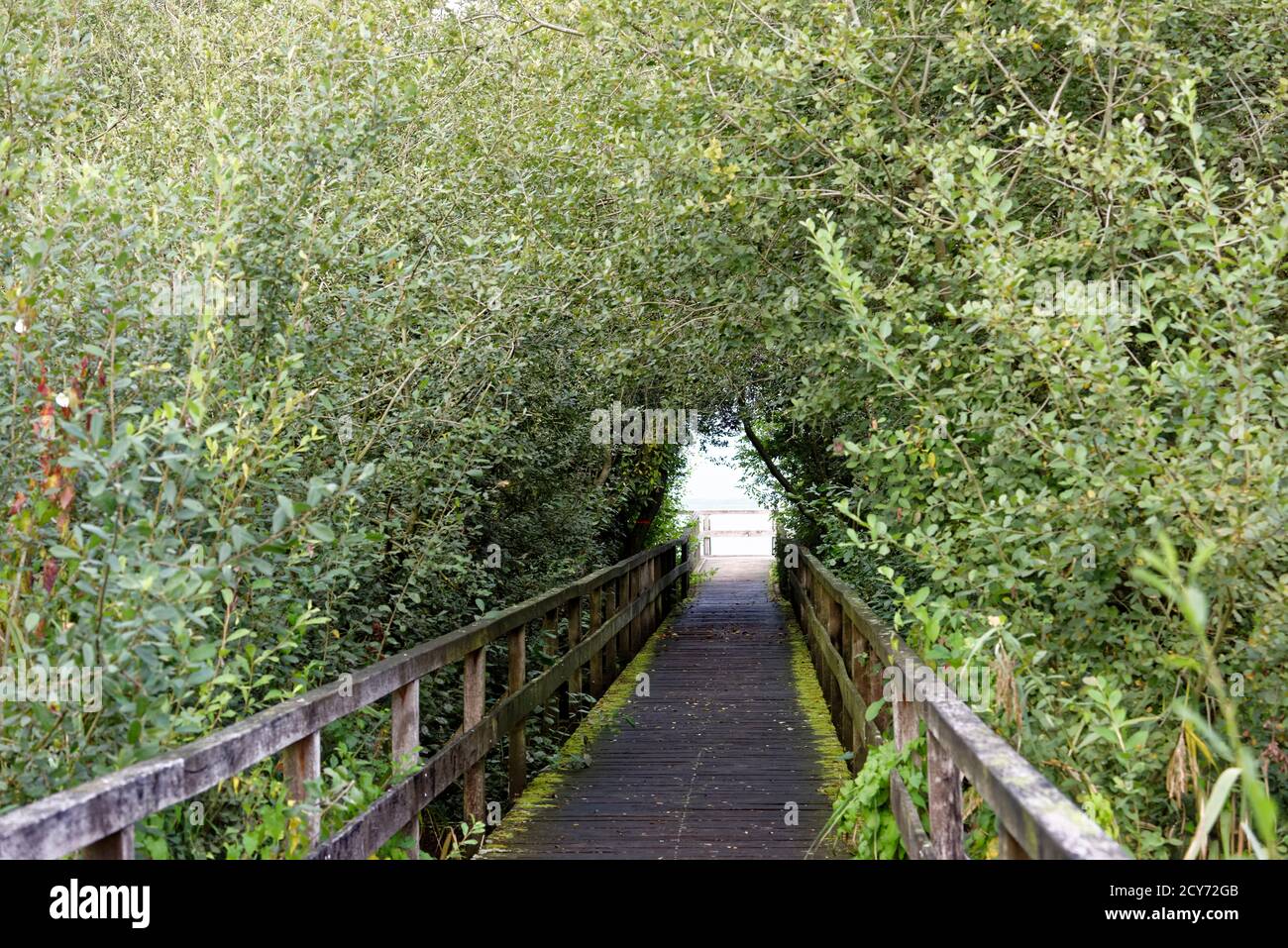 Insel Wilhelmstein im Steinhuder Meer Stock Photo - Alamy