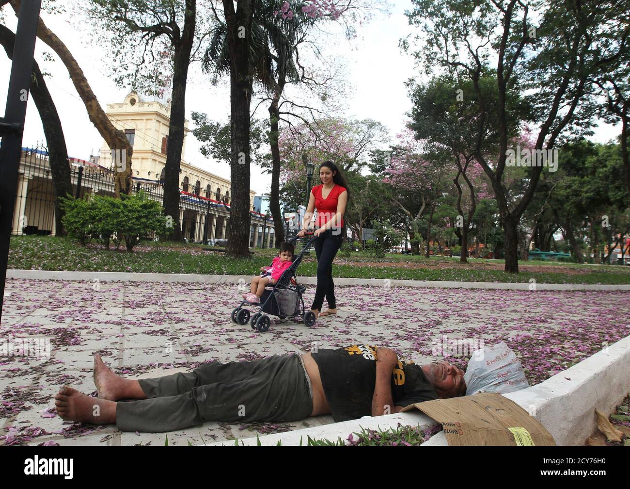 National flower of paraguay hi-res stock photography and images - Alamy