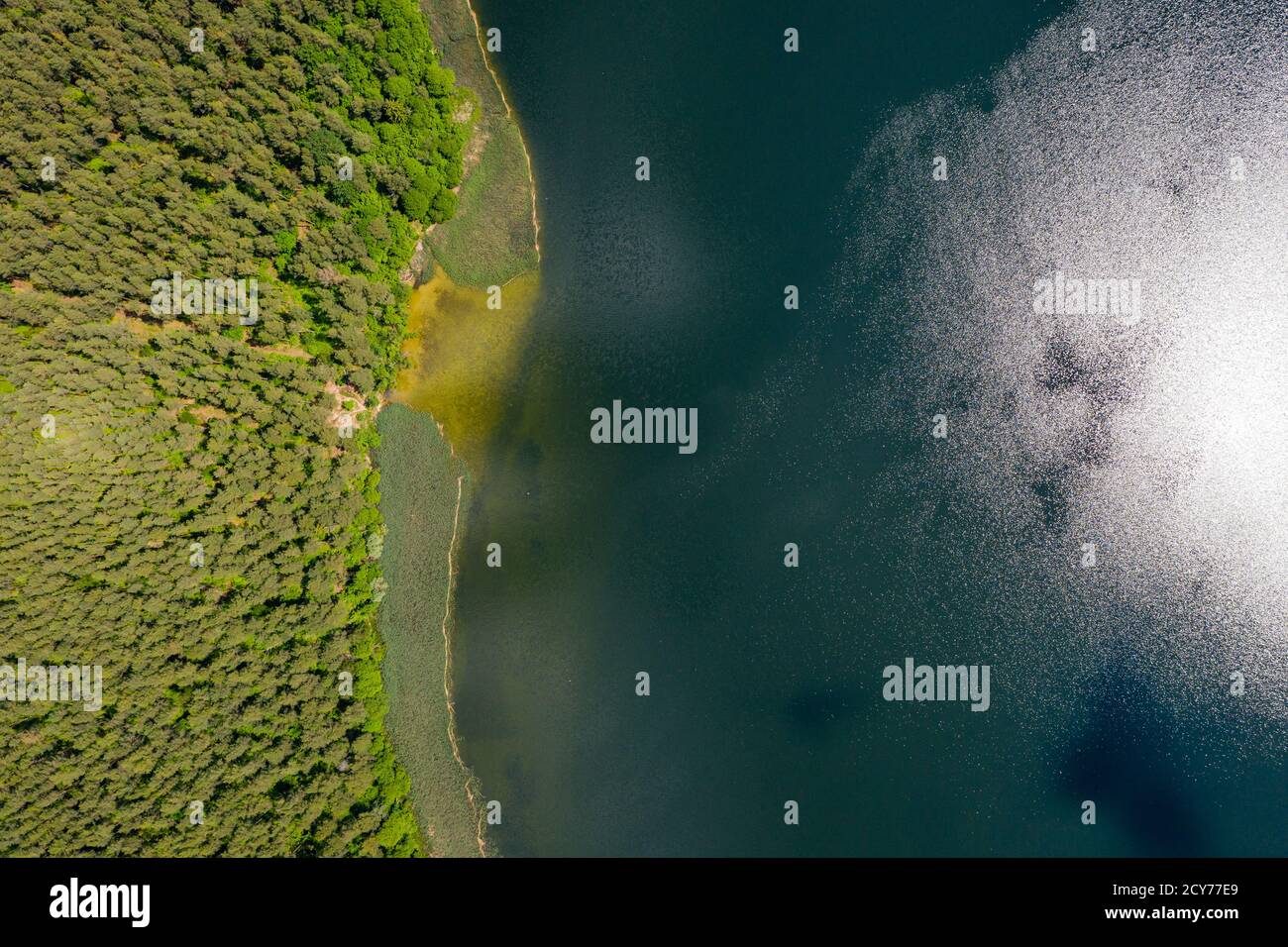 Top down aerial view of lake and forest Stock Photo - Alamy