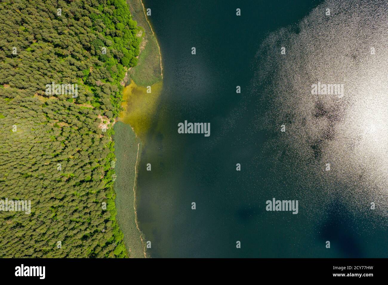Top down aerial view of lake and forest Stock Photo - Alamy