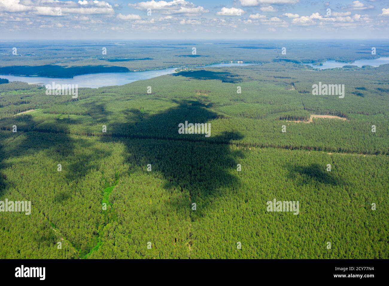 Aerial view of large forest area and distant lake Biale Augustowskie ...