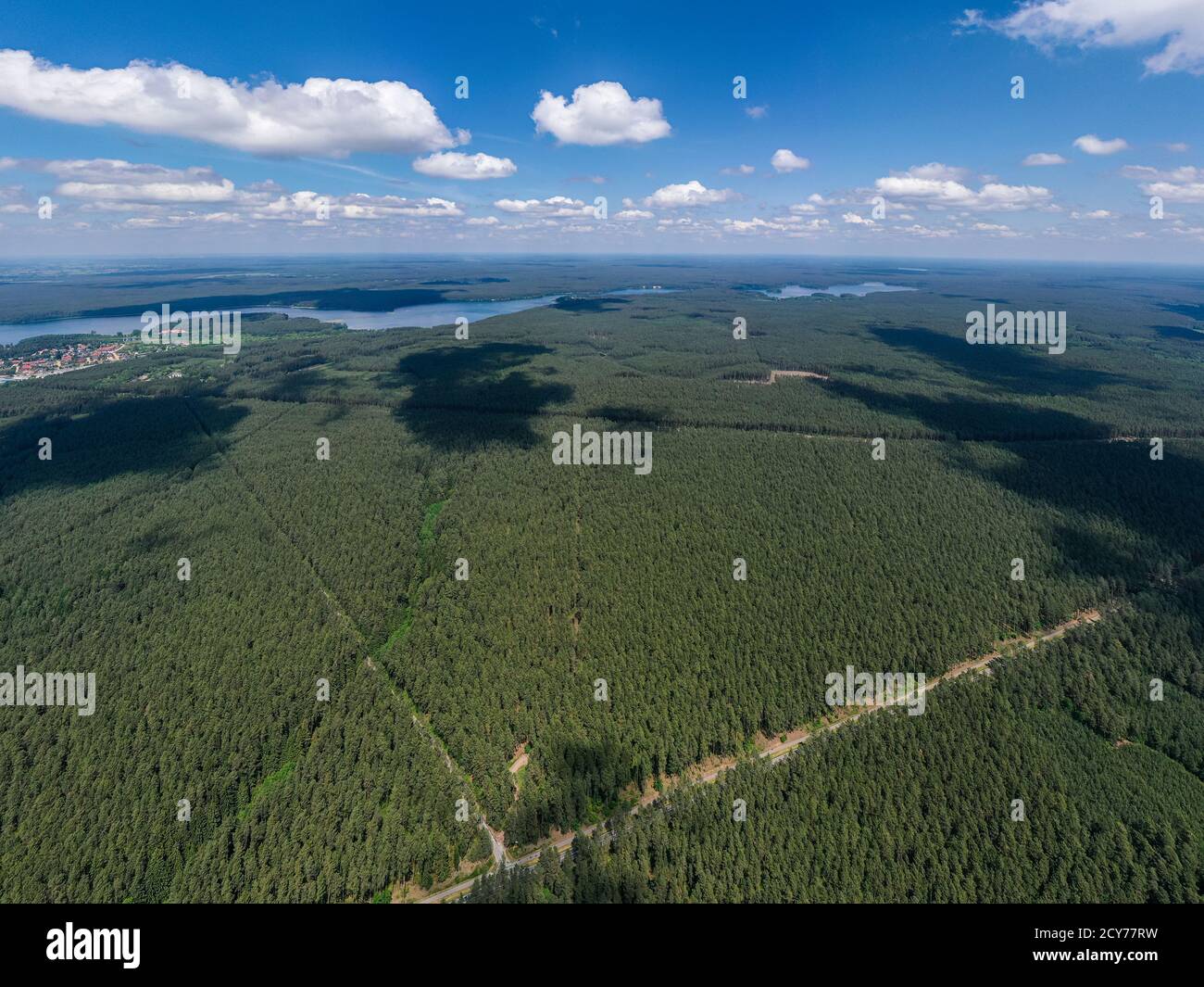 Aerial view of large forest area and distant lake Biale Augustowskie ...