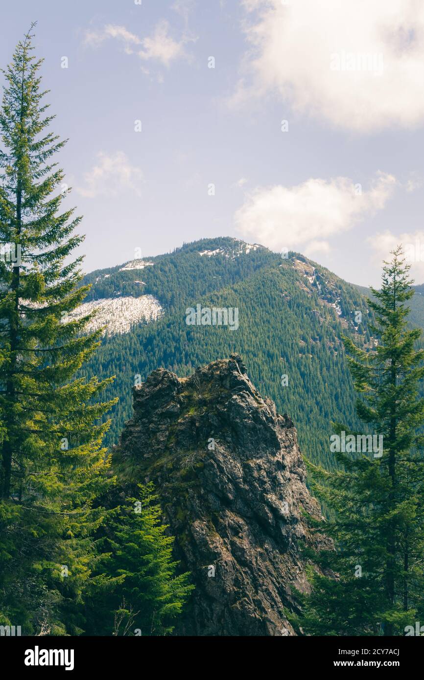 Mesmerizing view forested mountains hi-res stock photography and images ...