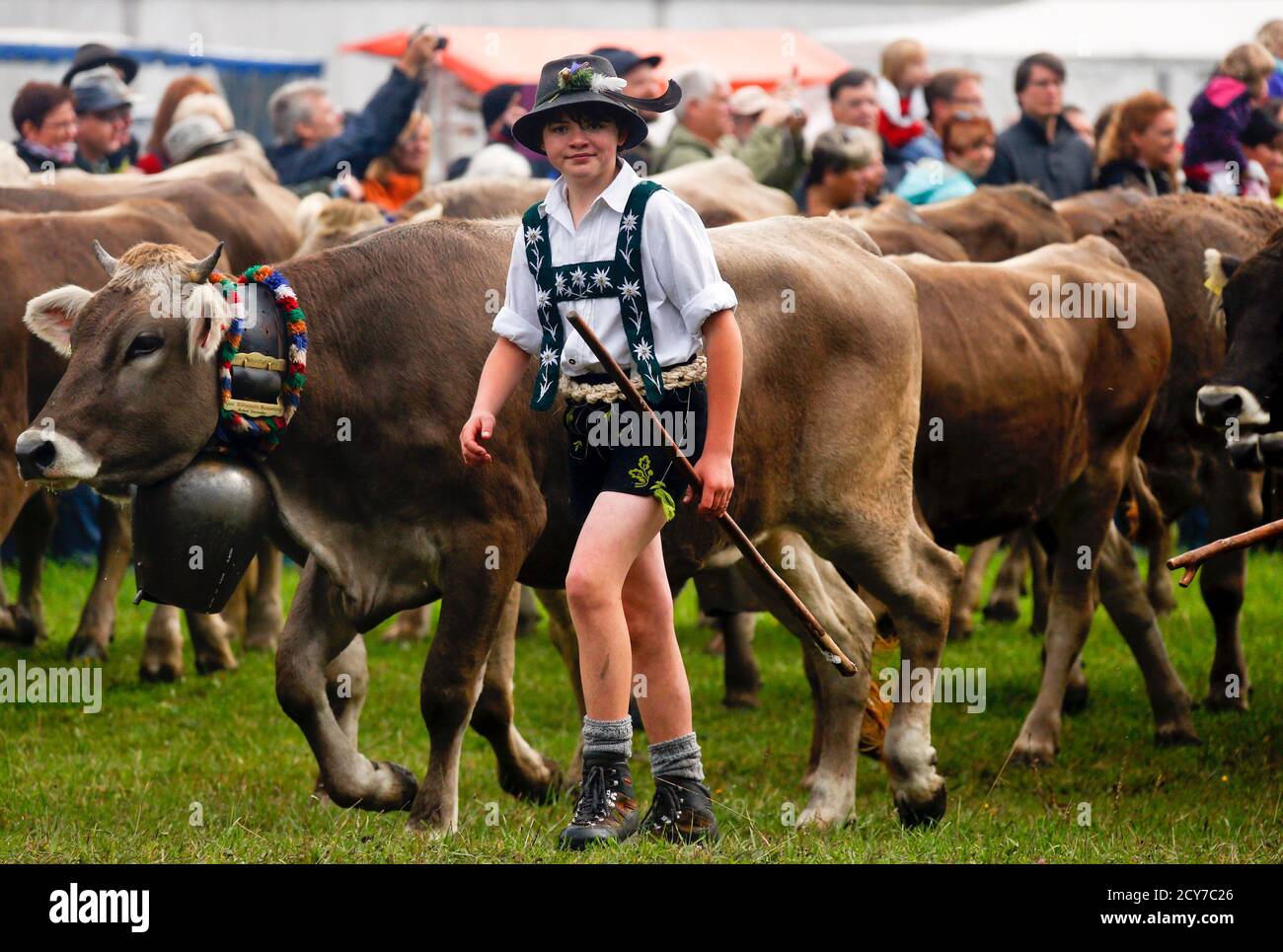 Almabtrieb festival hi-res stock photography and images - Alamy