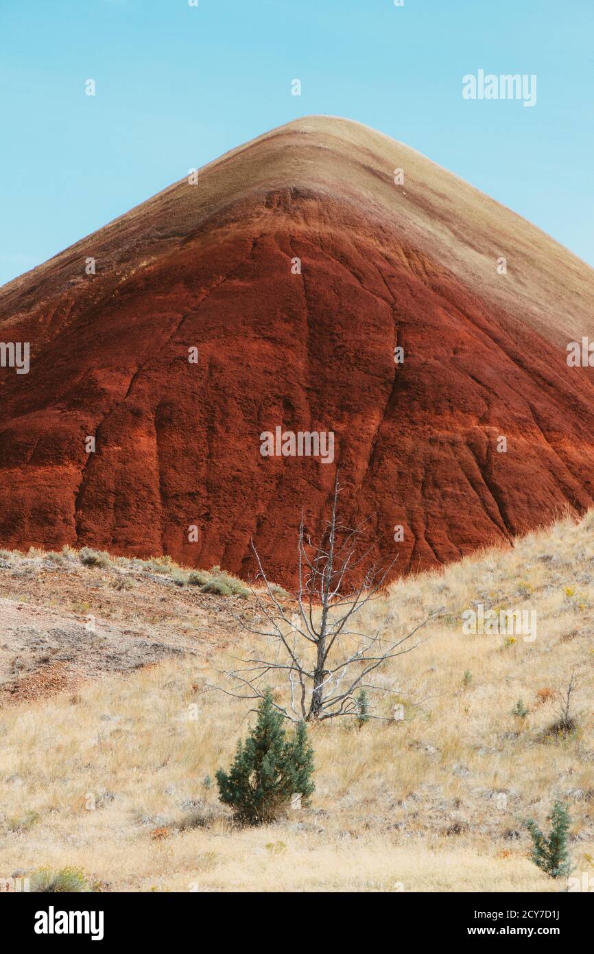 Vertical shot of a mesmerizing landscape of an arid environment Stock ...