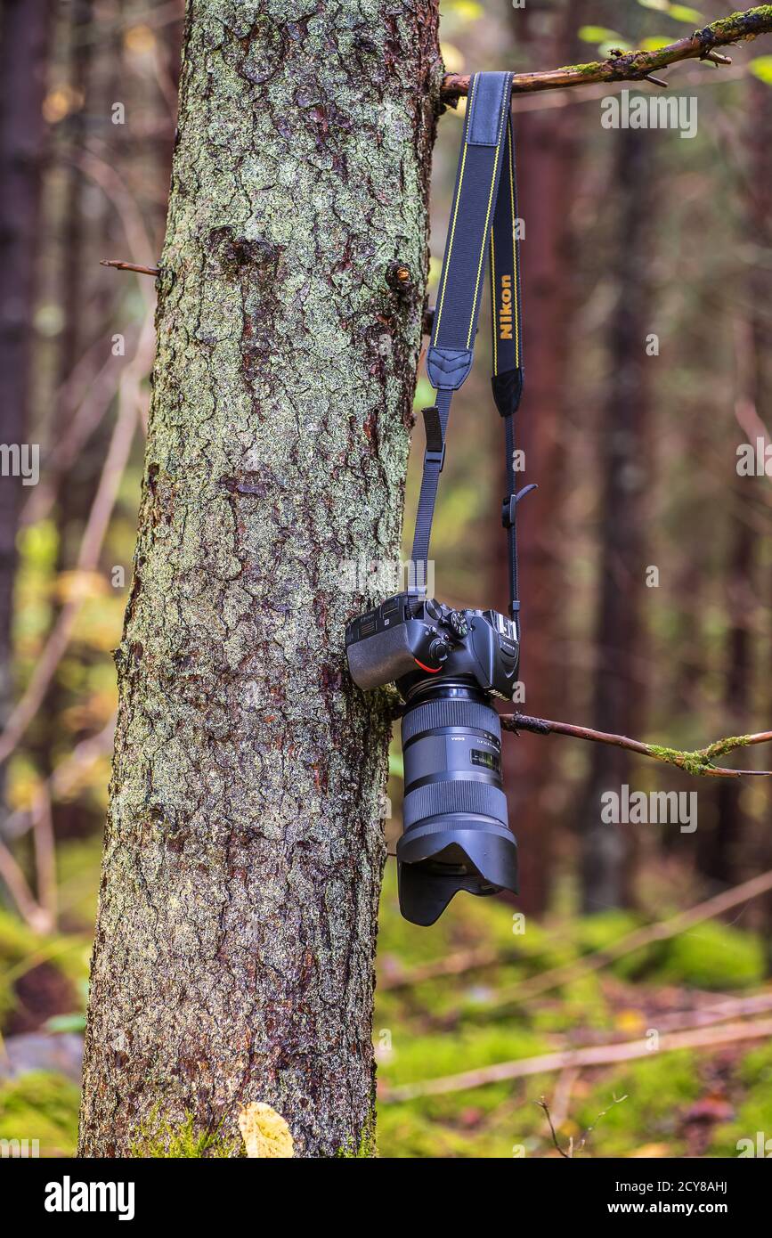 Camera from nikon and lens from sigma hang on a tree in the Swedish ...