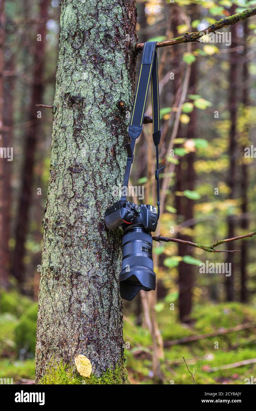 Professional photography hi-res stock photography and images - Alamy