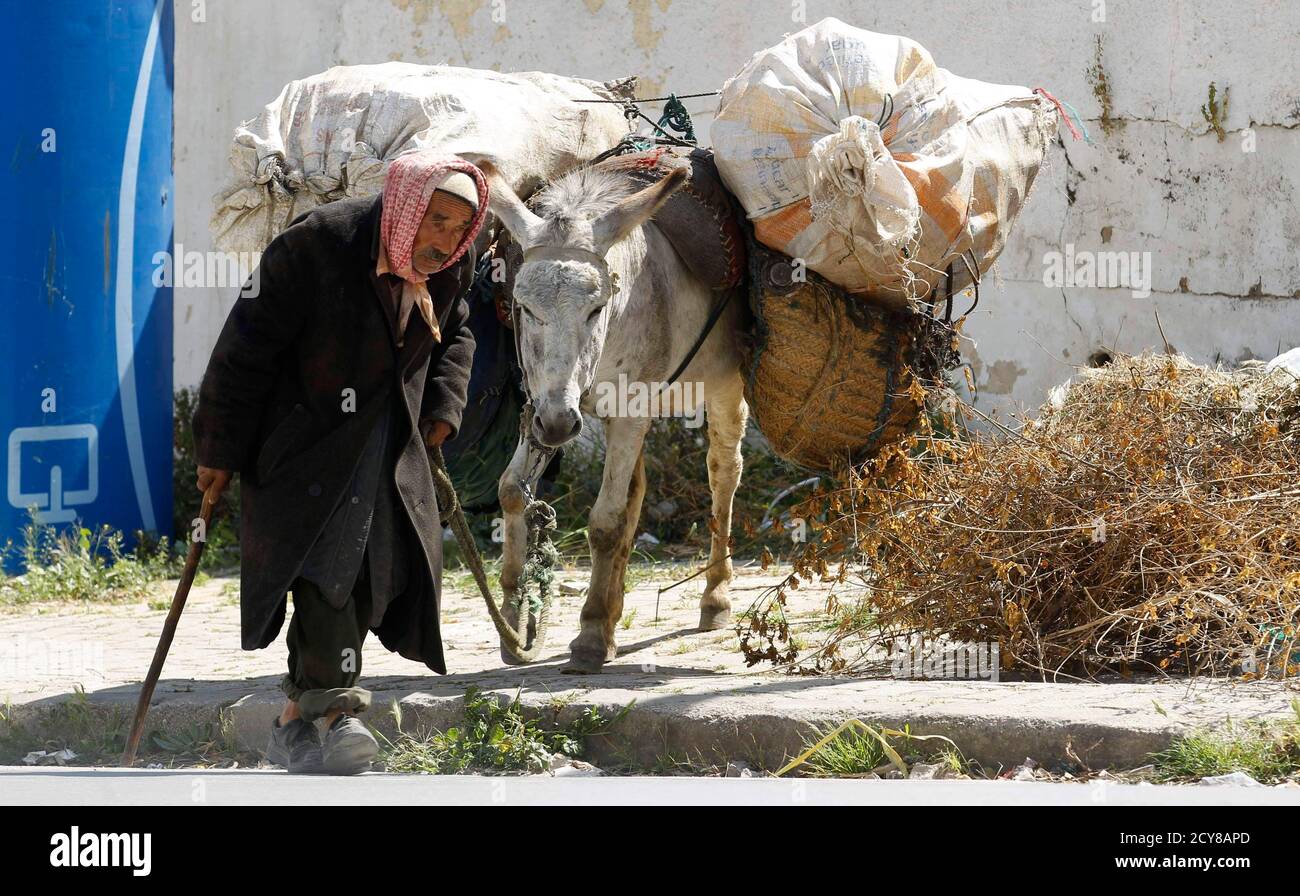 Overloaded Donkey High Resolution Stock Photography and Images - Alamy