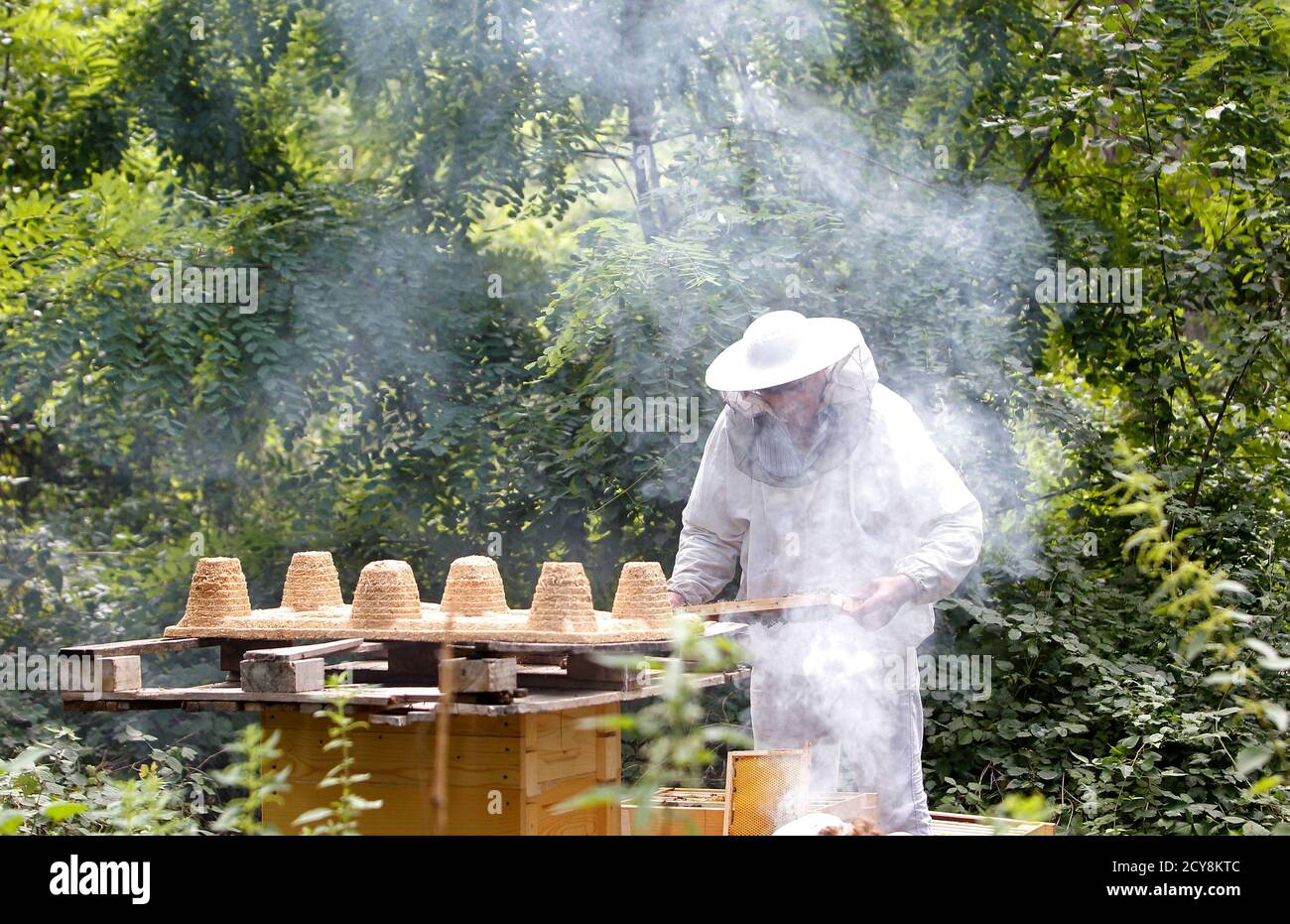 Austria europe bee beehive hi-res stock photography and images - Alamy