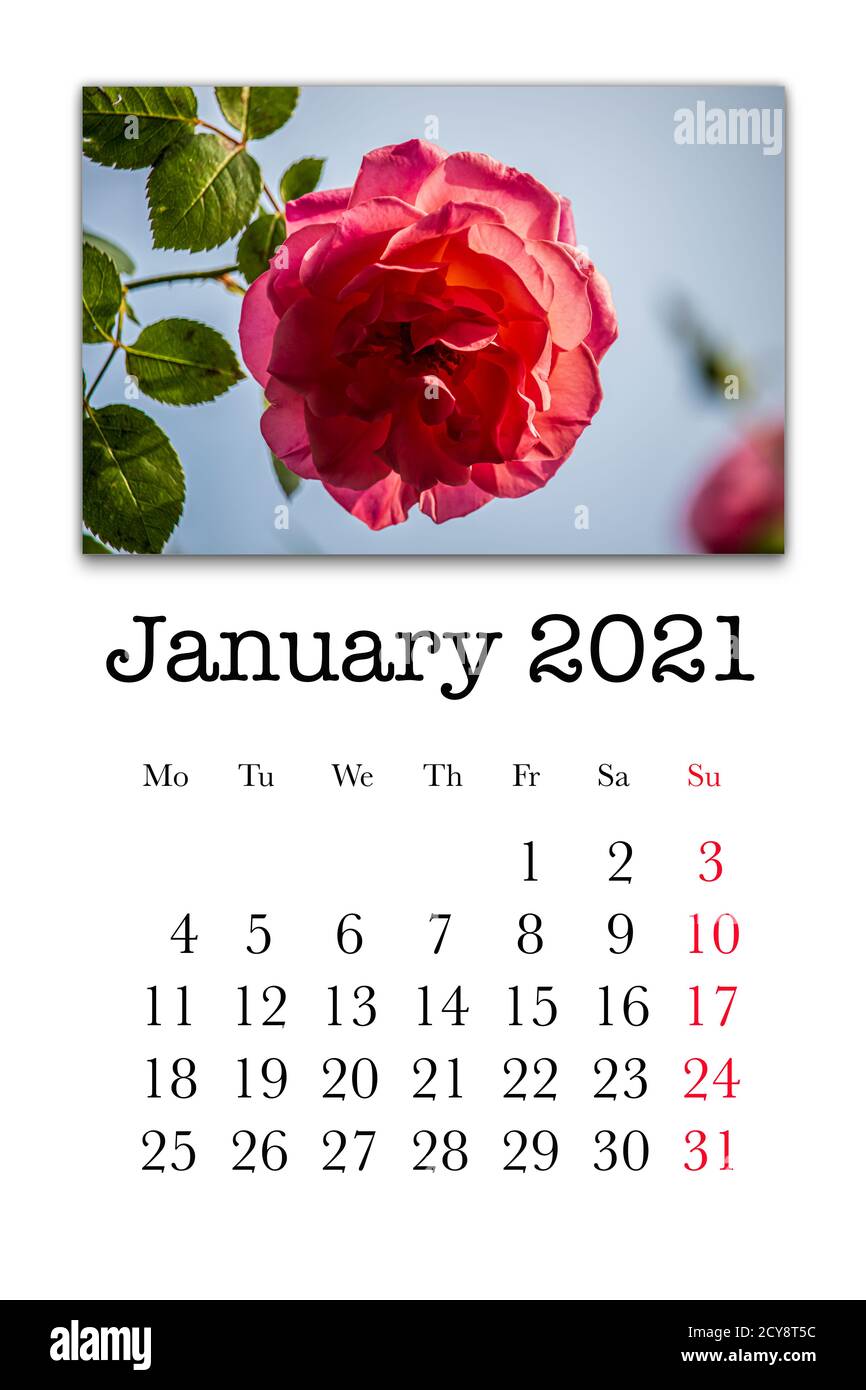 Calendar card for the month of January 2021 Stock Photo - Alamy