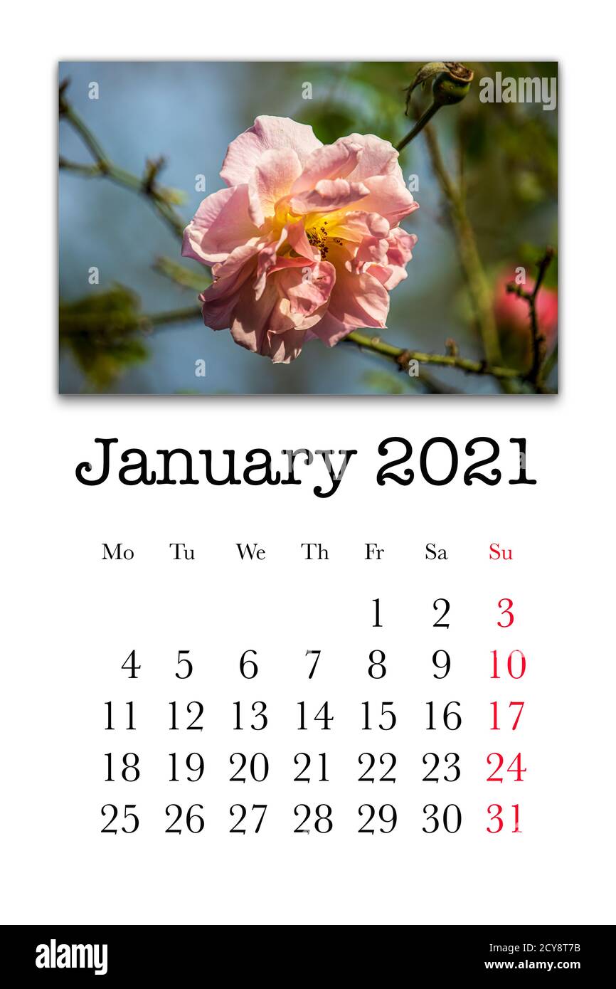 Colorful january calendar hi-res stock photography and images - Alamy