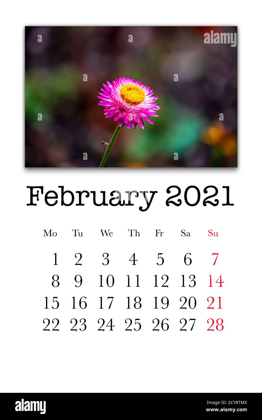 Calendar card for the month of February 2021 Stock Photo - Alamy