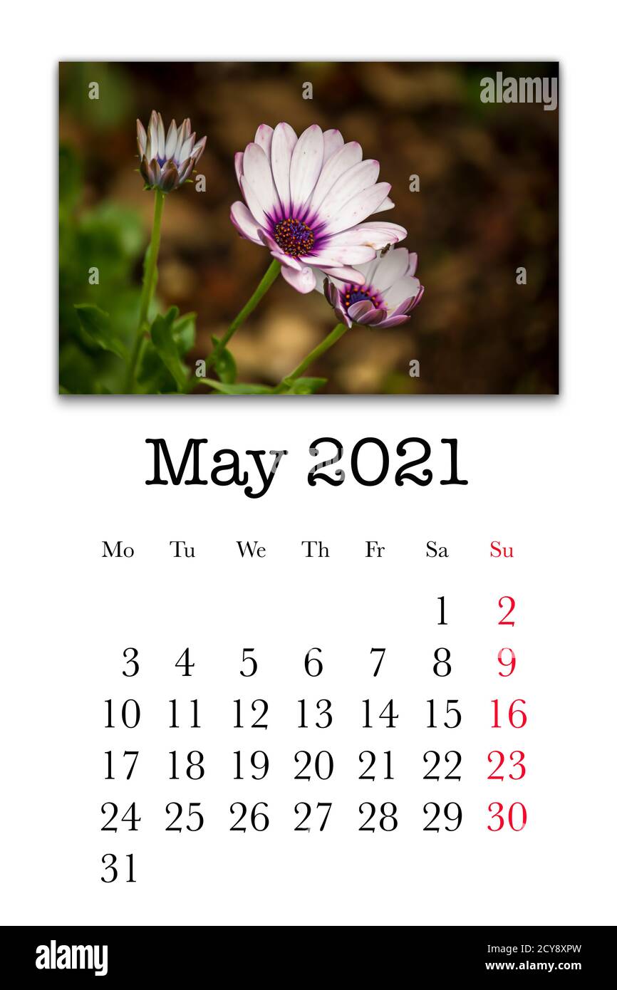 Calendar card for the month of May 2021 Stock Photo - Alamy