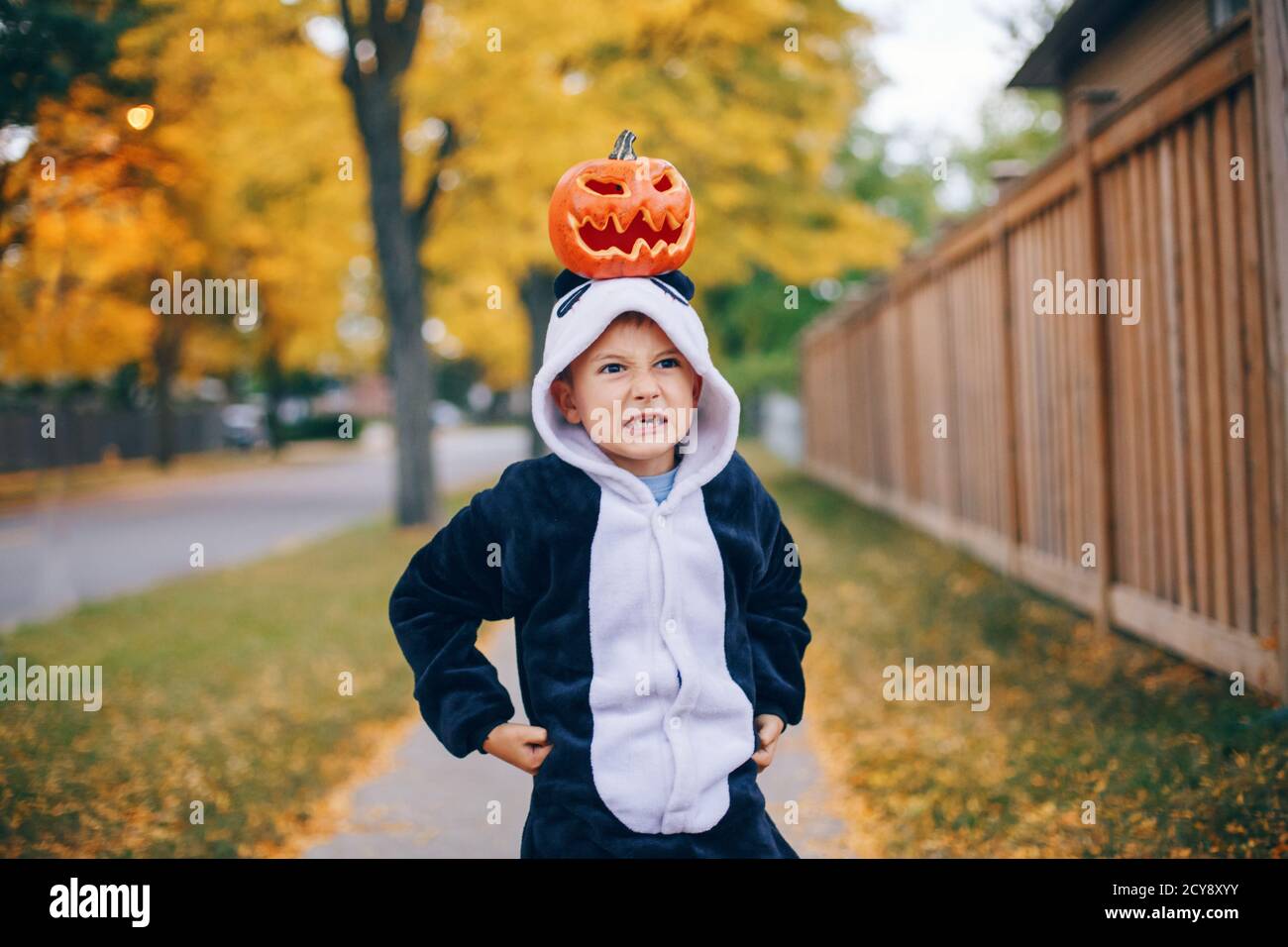Trick or treat. Funny grumpy angry child boy with red pumpkin on head ...