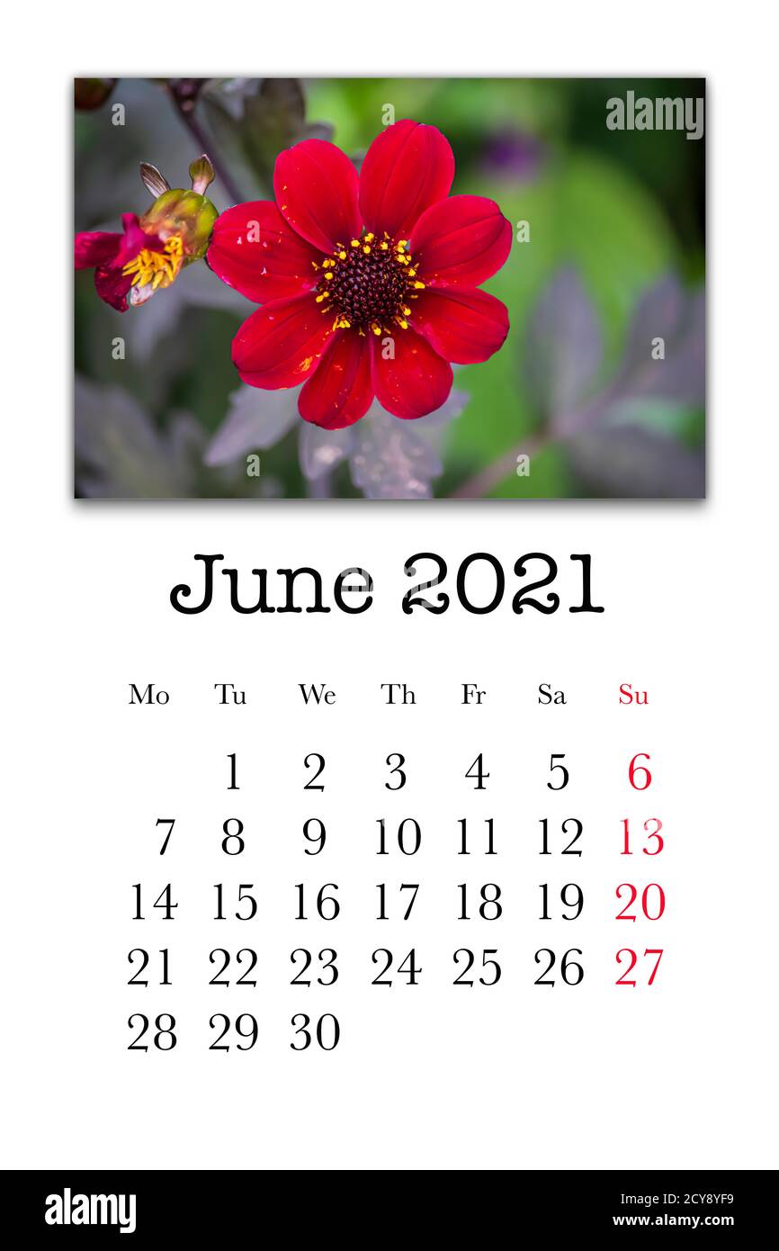 Calendar card for the month of June 2021 Stock Photo - Alamy