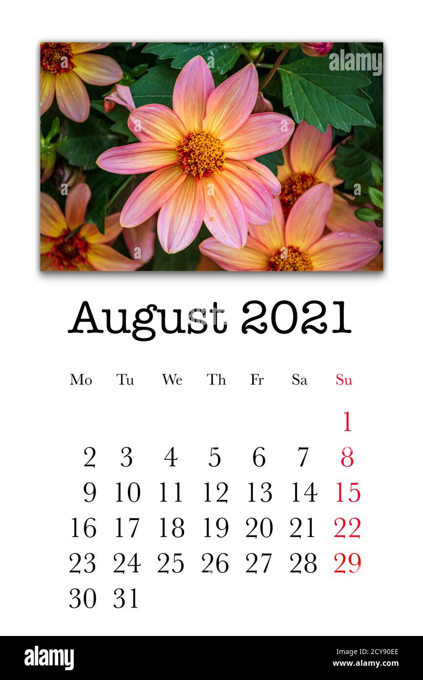 Calendar card for the month of August 2021 Stock Photo - Alamy