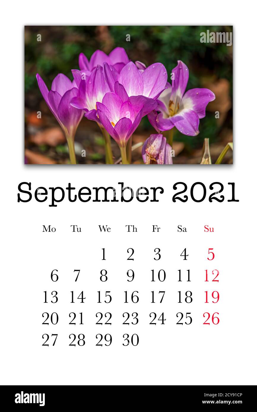 Calendar card for the month of September 2021 Stock Photo - Alamy