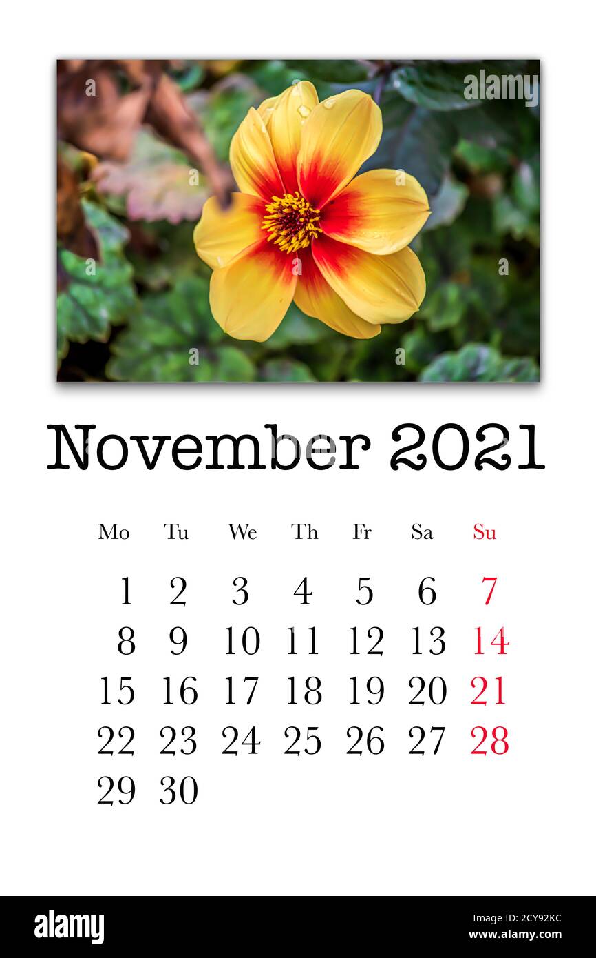 Calendar card for the month of November 2021 Stock Photo - Alamy