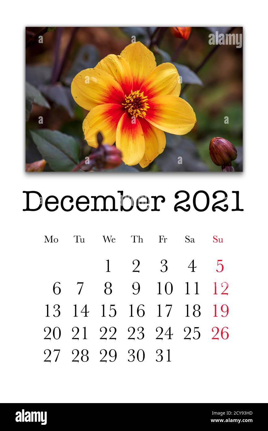 Calendar card for the month of December 2021 Stock Photo - Alamy