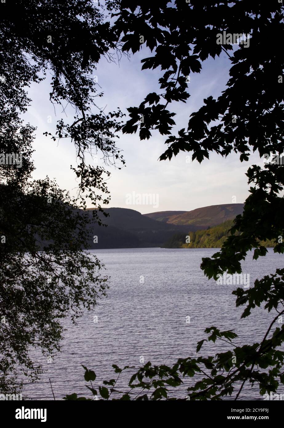 a mountain view over a lake looking though the forest that frames the ...