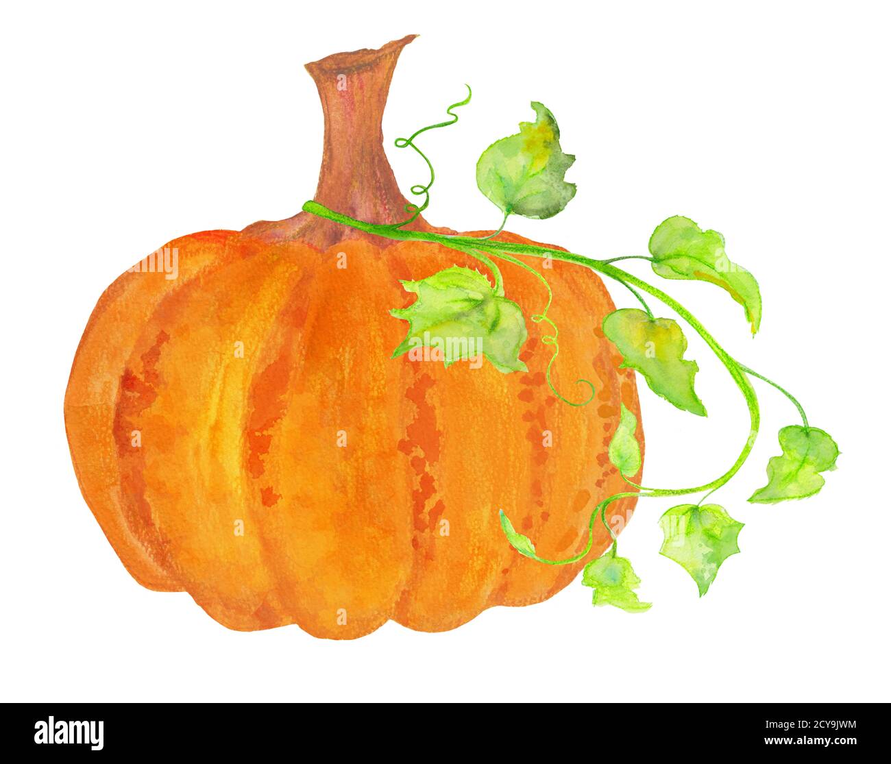 Large file high resolution Cut Out Stock Images & Pictures - Alamy