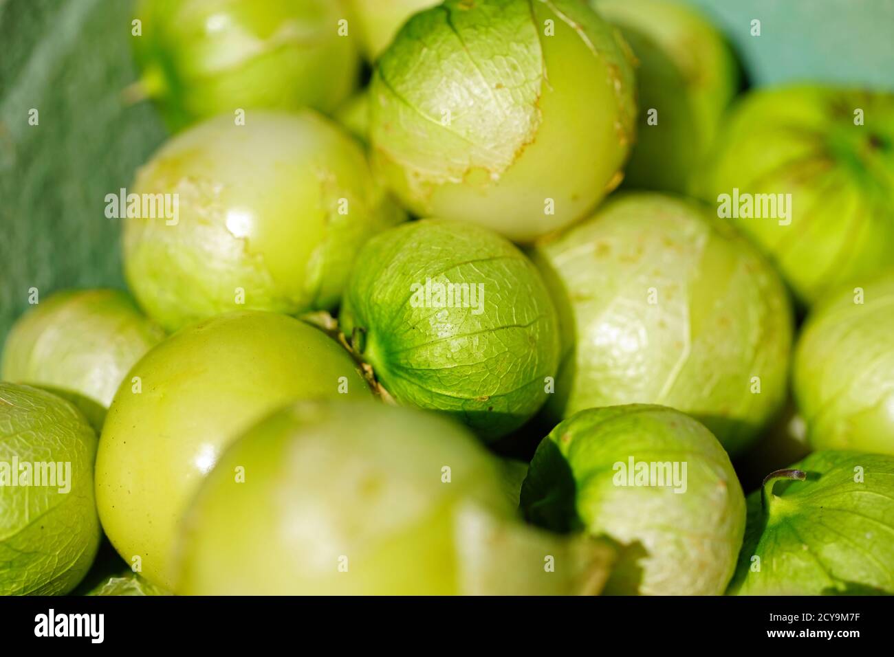 Fresh green tomatillo (Mexican husk tomato Stock Photo - Alamy