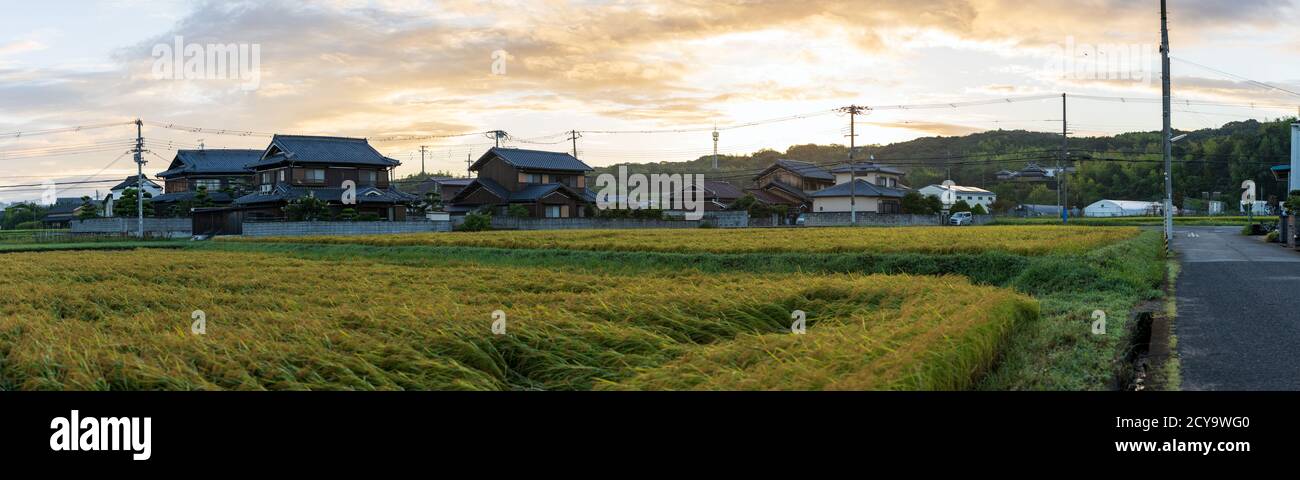 Beautiful panoramic view of traditional Japanese farming village at ...