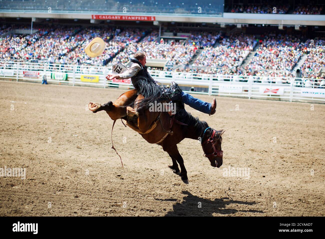 Novice bareback rodeo event calgary hi-res stock photography and images ...