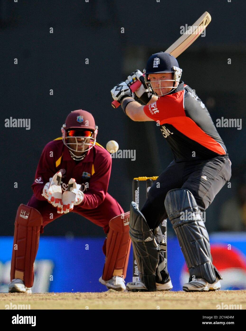 Devon thomas cricket hi-res stock photography and images - Alamy