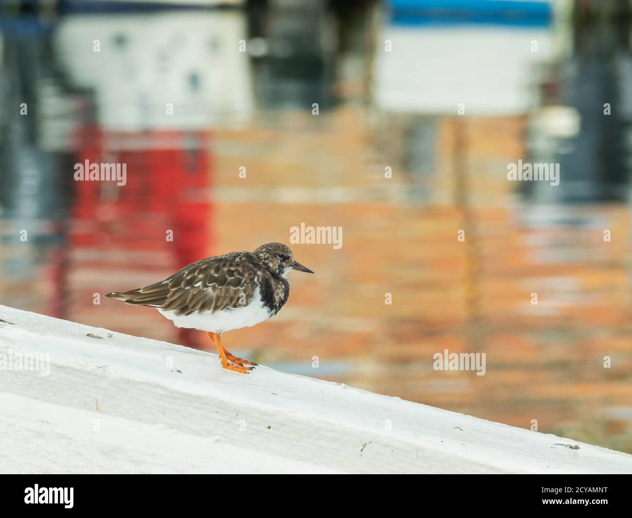 Boat birds eye view hi-res stock photography and images - Alamy