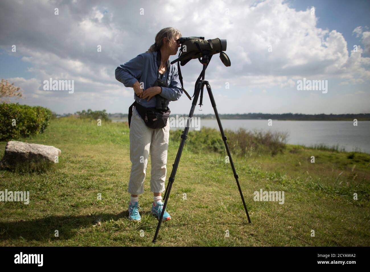 Artemisa 3 hi-res stock photography and images - Alamy