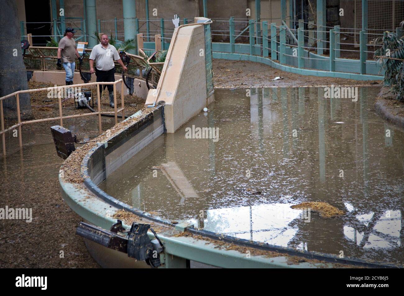 Hippo accident hi-res stock photography and images - Alamy