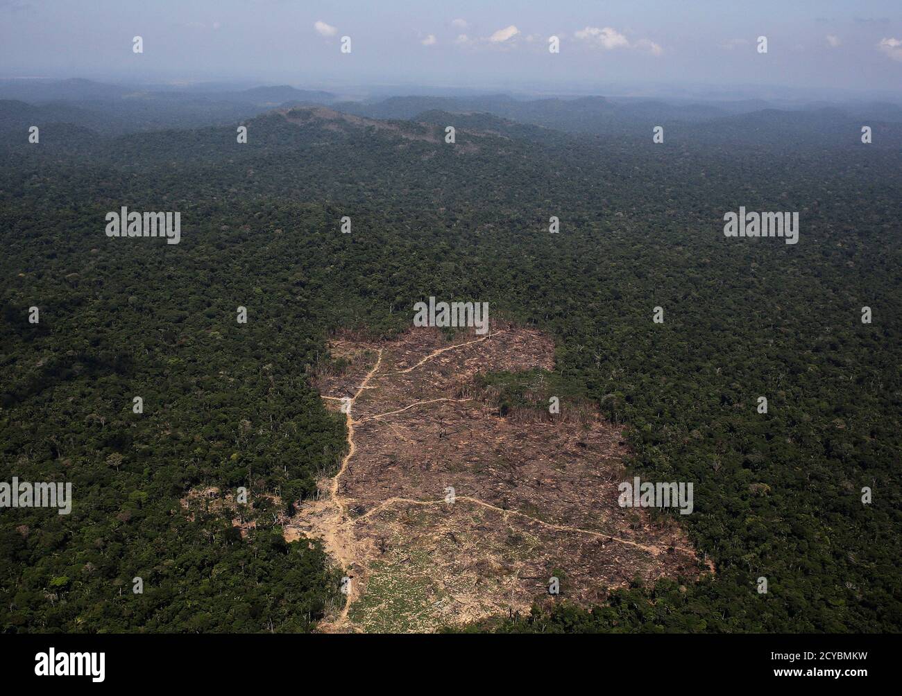 Third largest state in the world hi-res stock photography and images ...