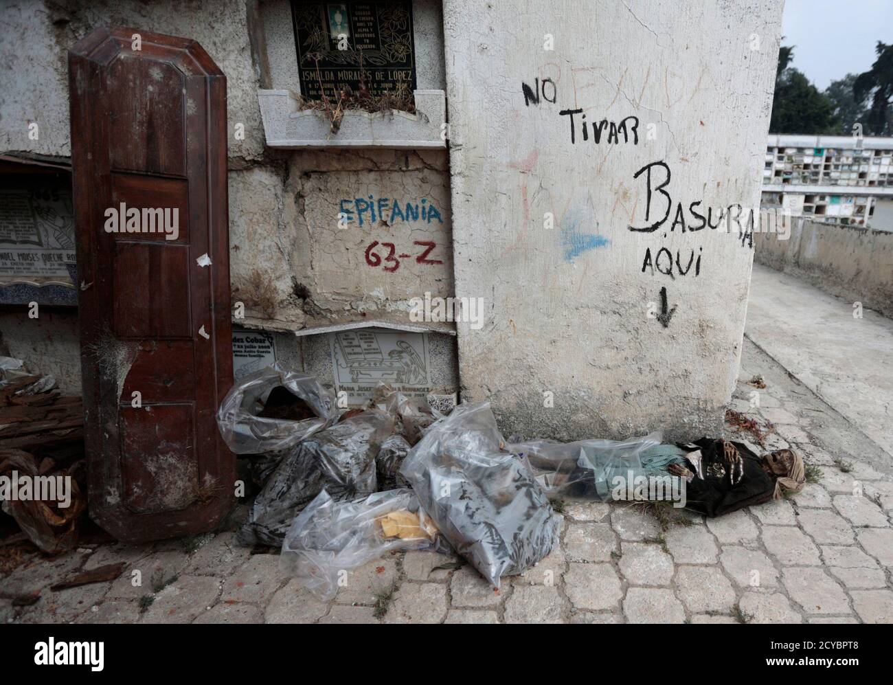 Become dry and decompose hi-res stock photography and images - Alamy