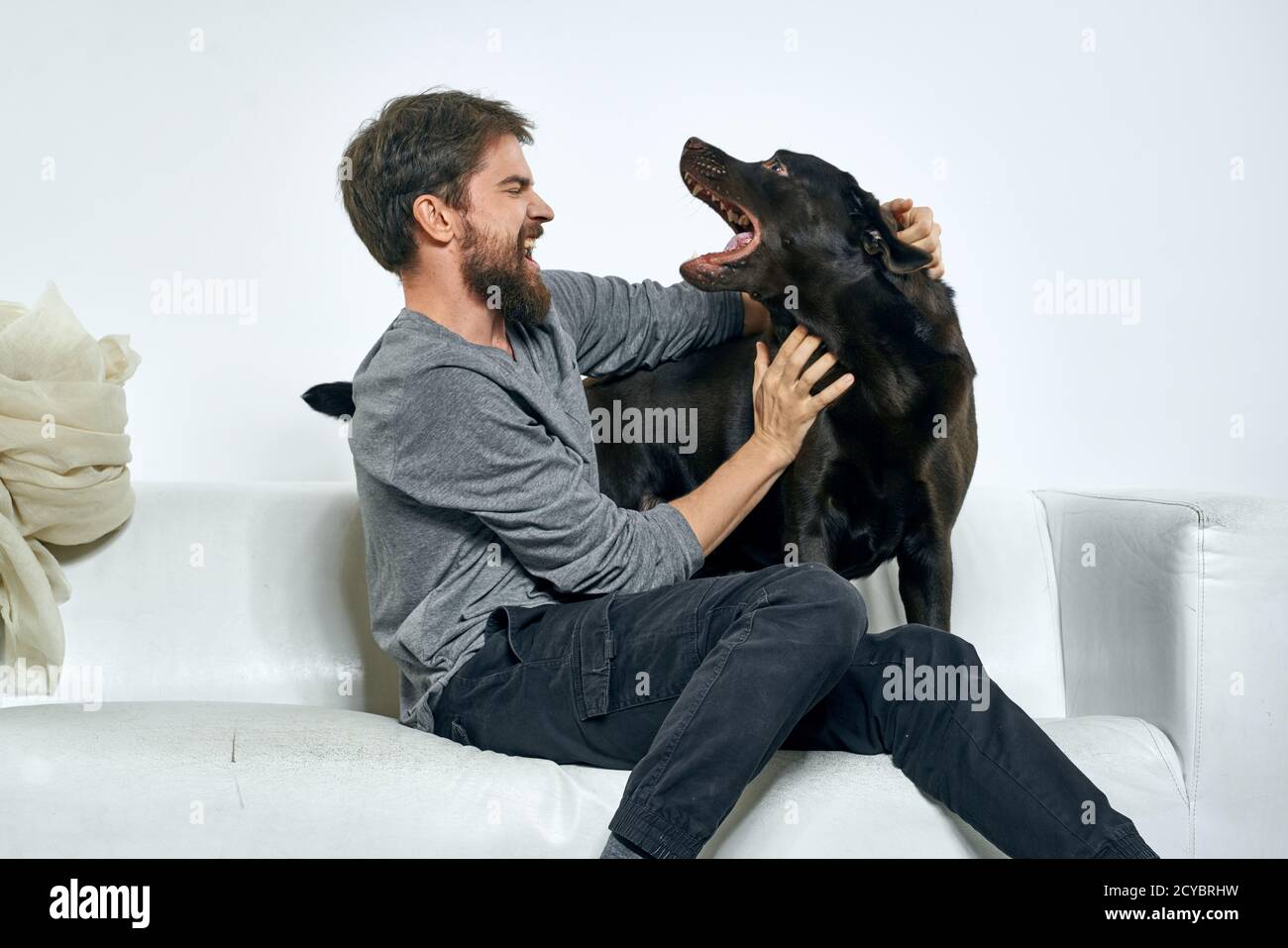 Happy man and dog on the couch In a bright room pet is a friend of man ...