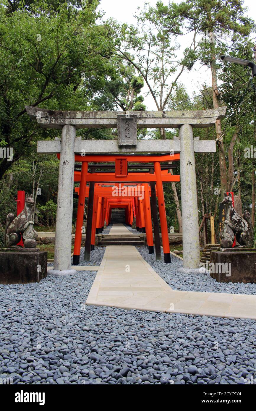Entrance of torii gates at inari jinja of Suwa Shrine in Nagasaki ...