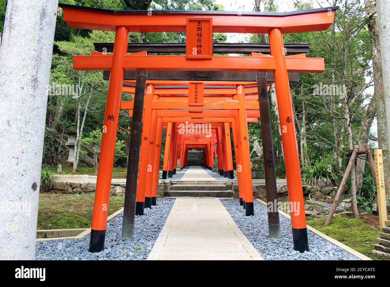 Line of orange torii gates at inari jinja of at Suwa Shrine in Nagasaki ...
