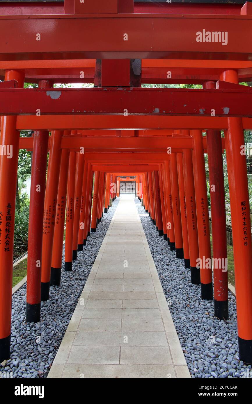 Line of orange torii gates at inari jinja of at Suwa Shrine in Nagasaki ...