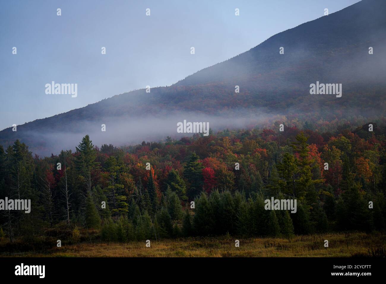 Fall colors in Vermont Stock Photo - Alamy