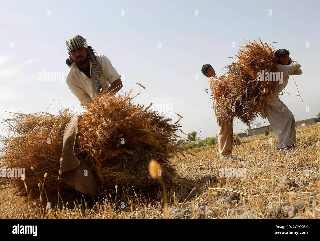 Afghan Farmers High Resolution Stock Photography and Images - Alamy