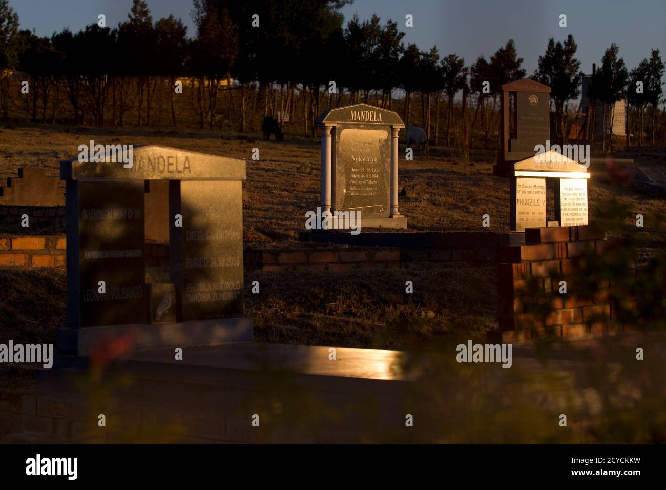 Nelson Mandelas Family Tree