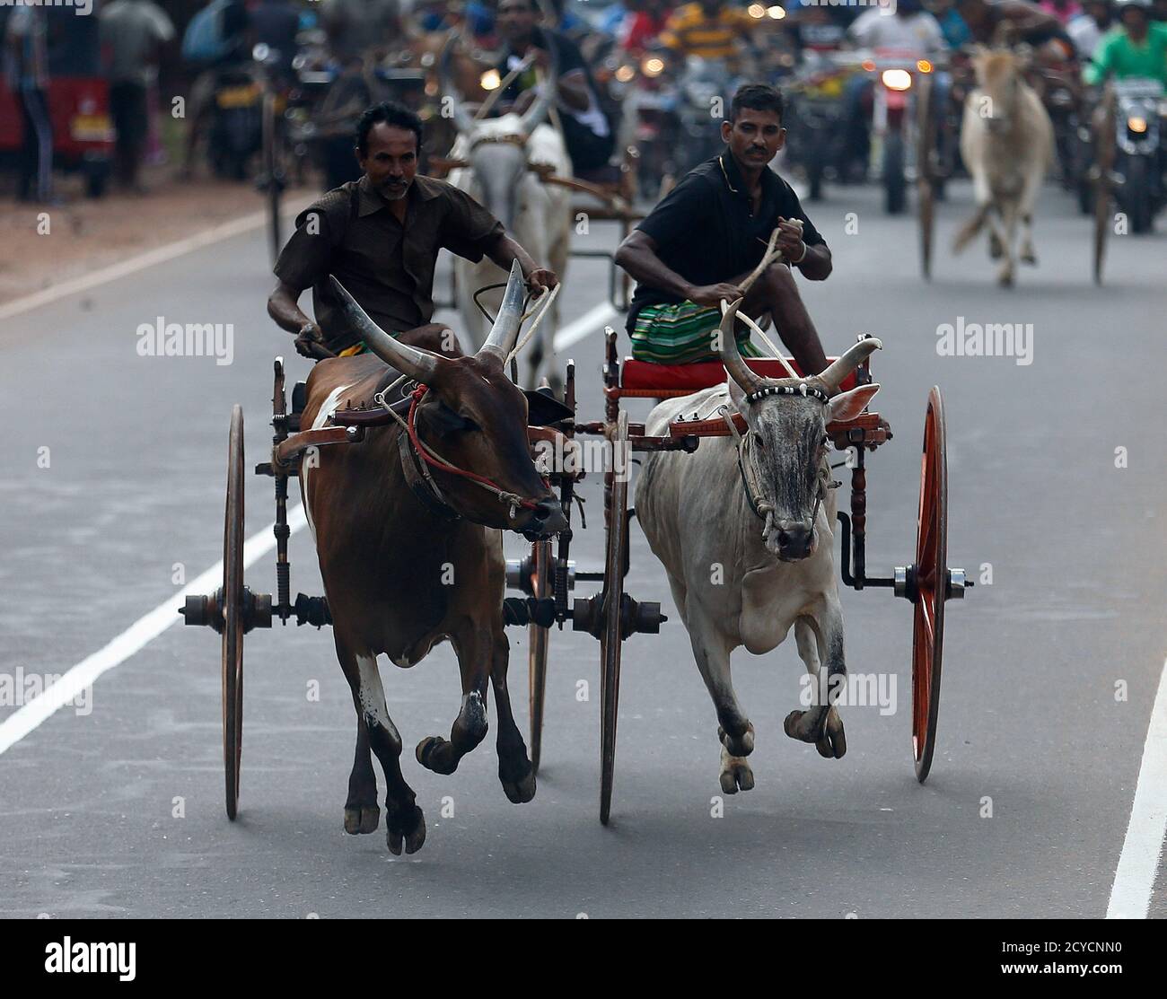 Sinhala New Year High Resolution Stock Photography and Images - Alamy