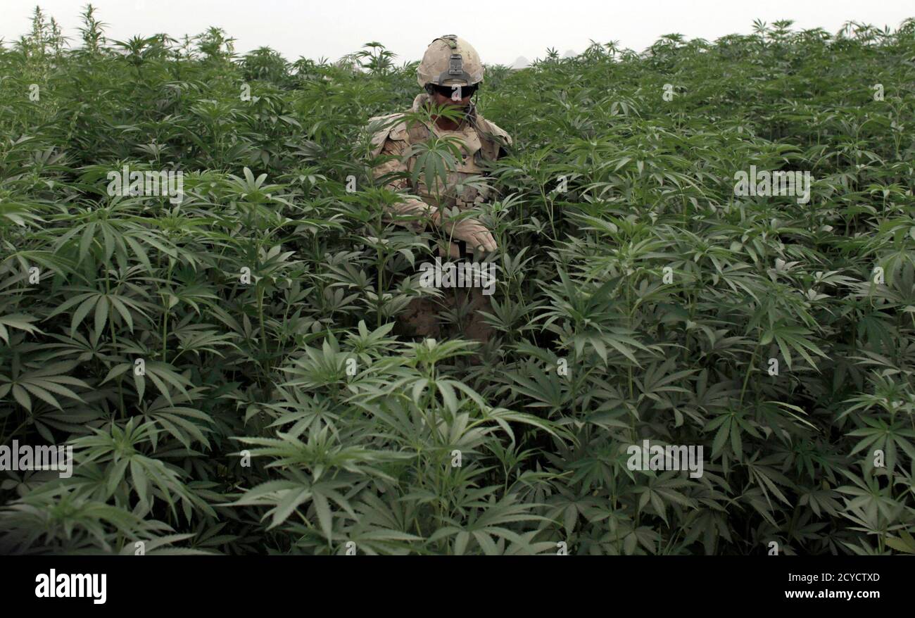 Canadian regiment hi-res stock photography and images - Alamy