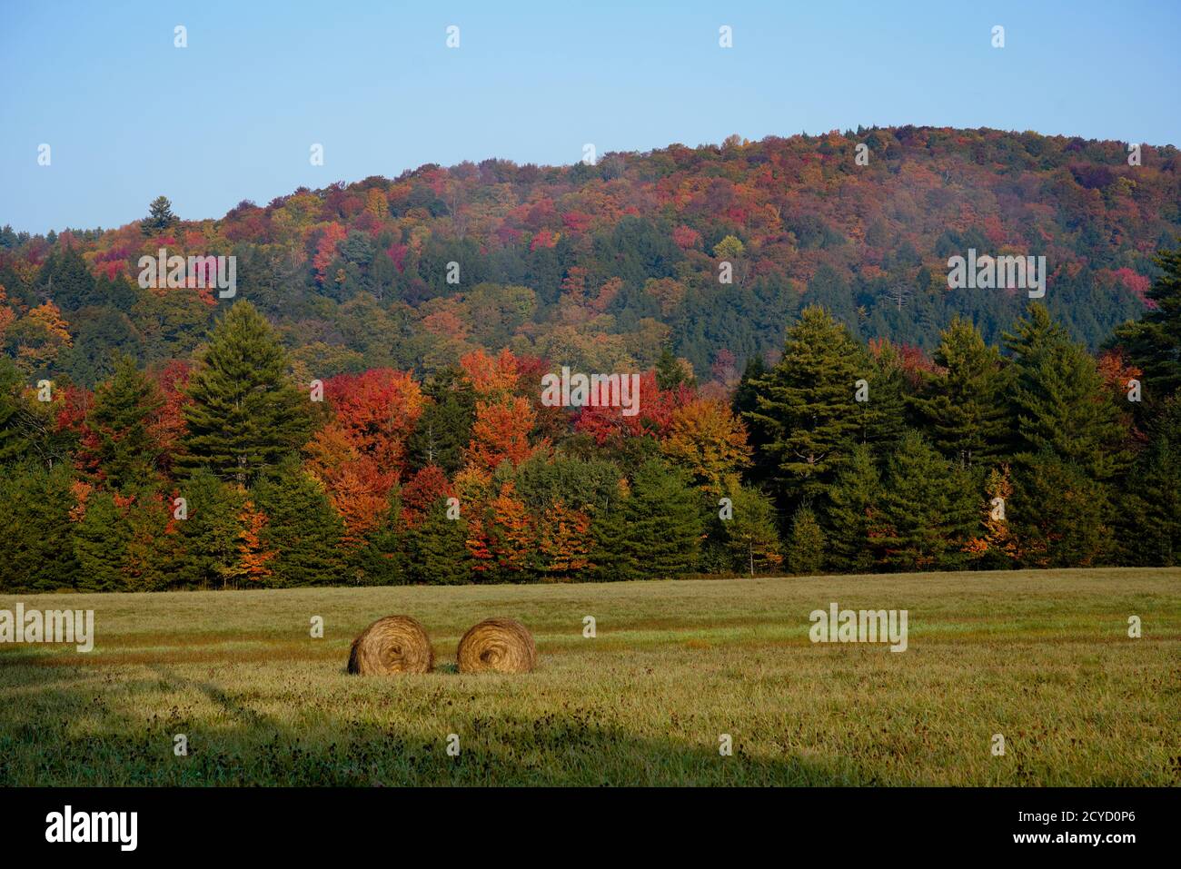 Fall colors in Vermont Stock Photo - Alamy