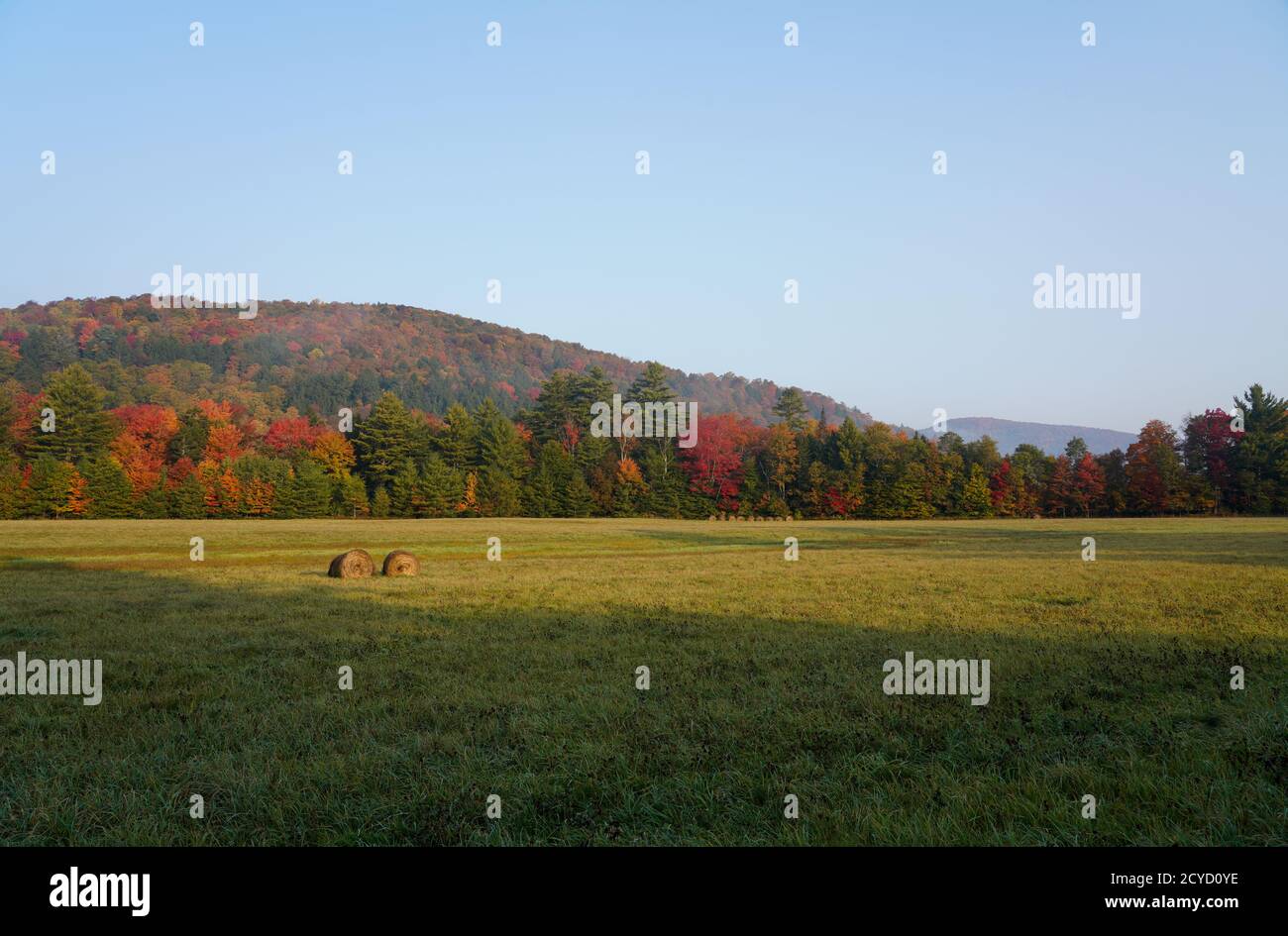 Fall colors in Vermont Stock Photo - Alamy